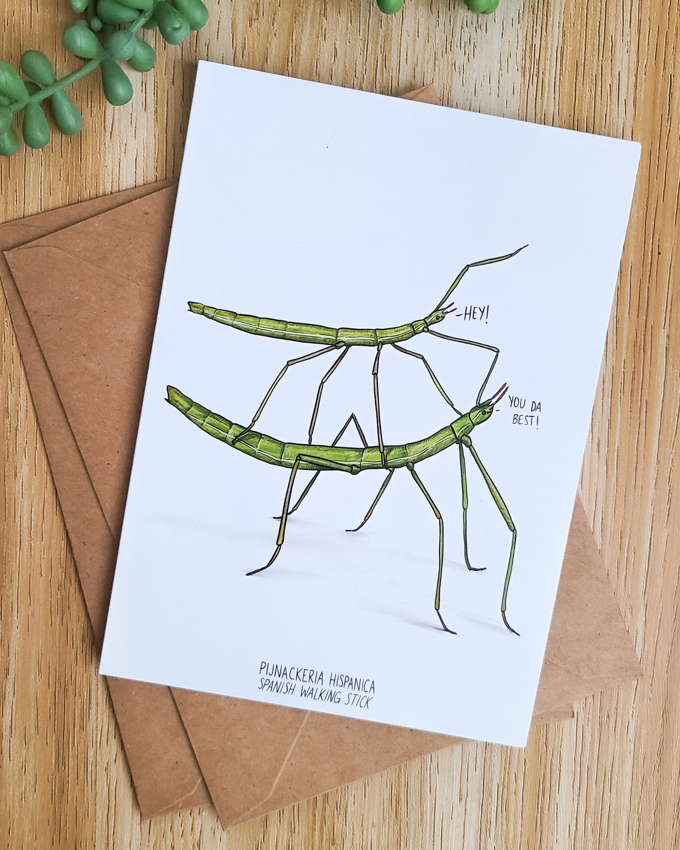 "Thanks for Sticking With Me" Stick Insect Thank You Card | Bug Stuff