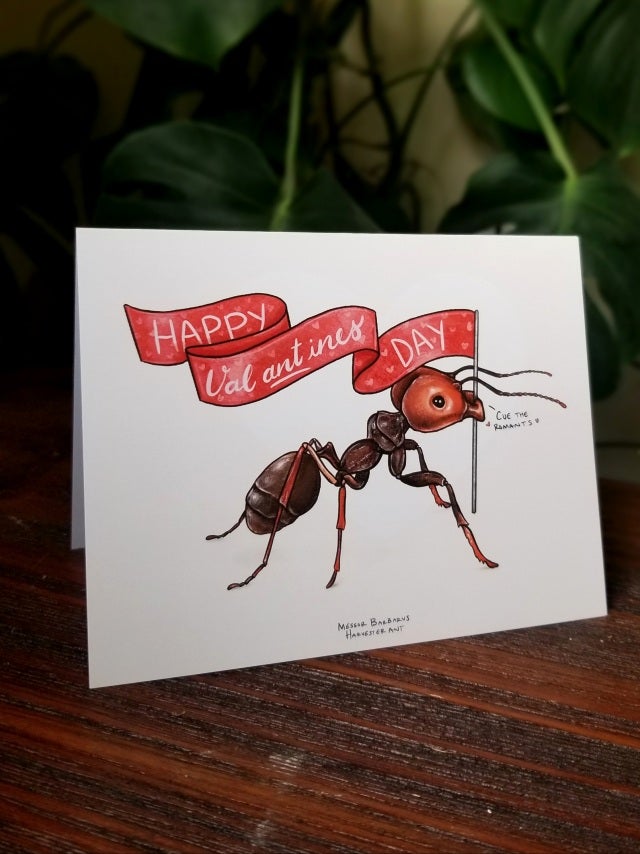 "Happy Val ANT intes day" Harvester ant Valentine Card